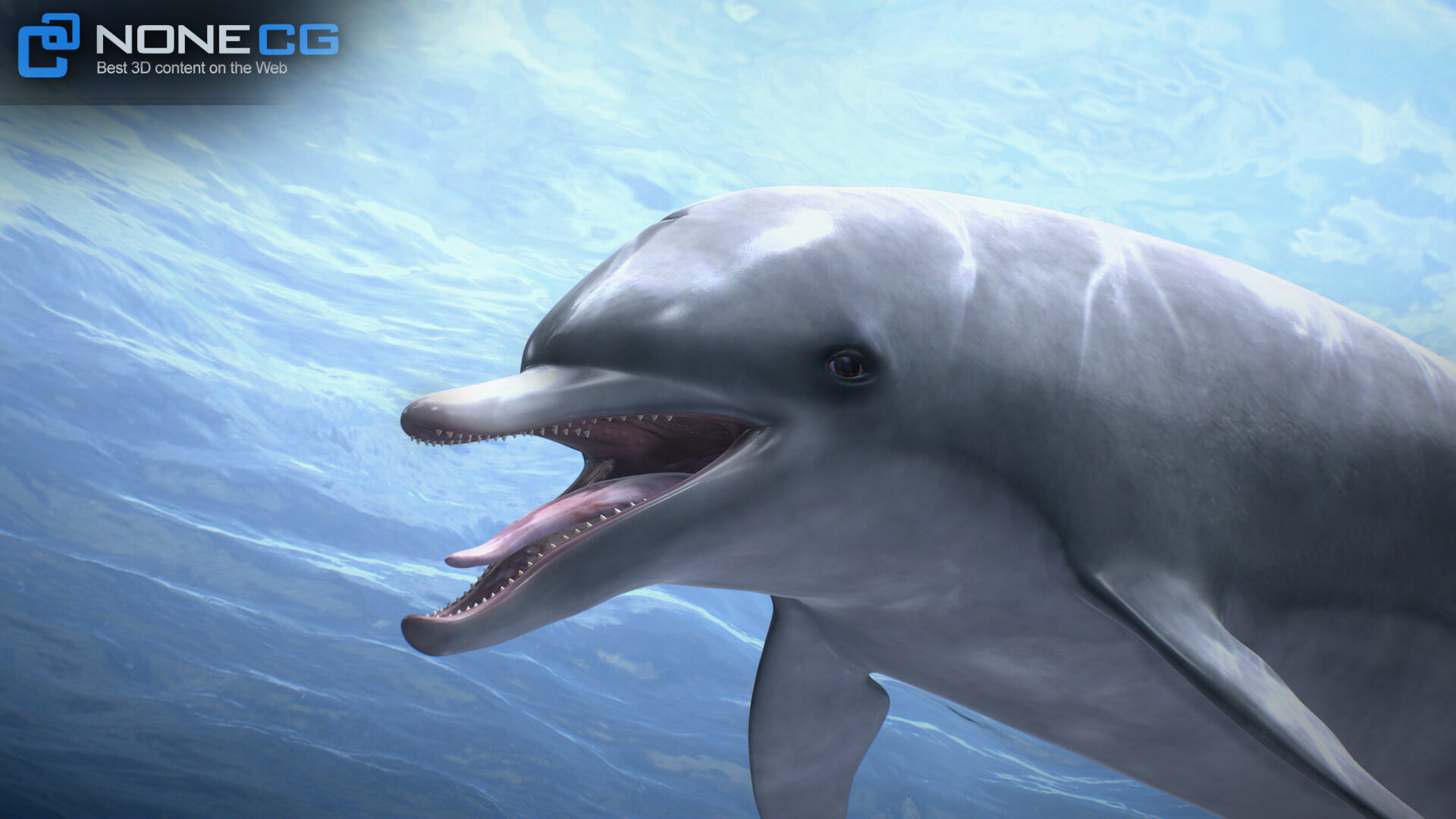 Animated Dolphin Wallpaper