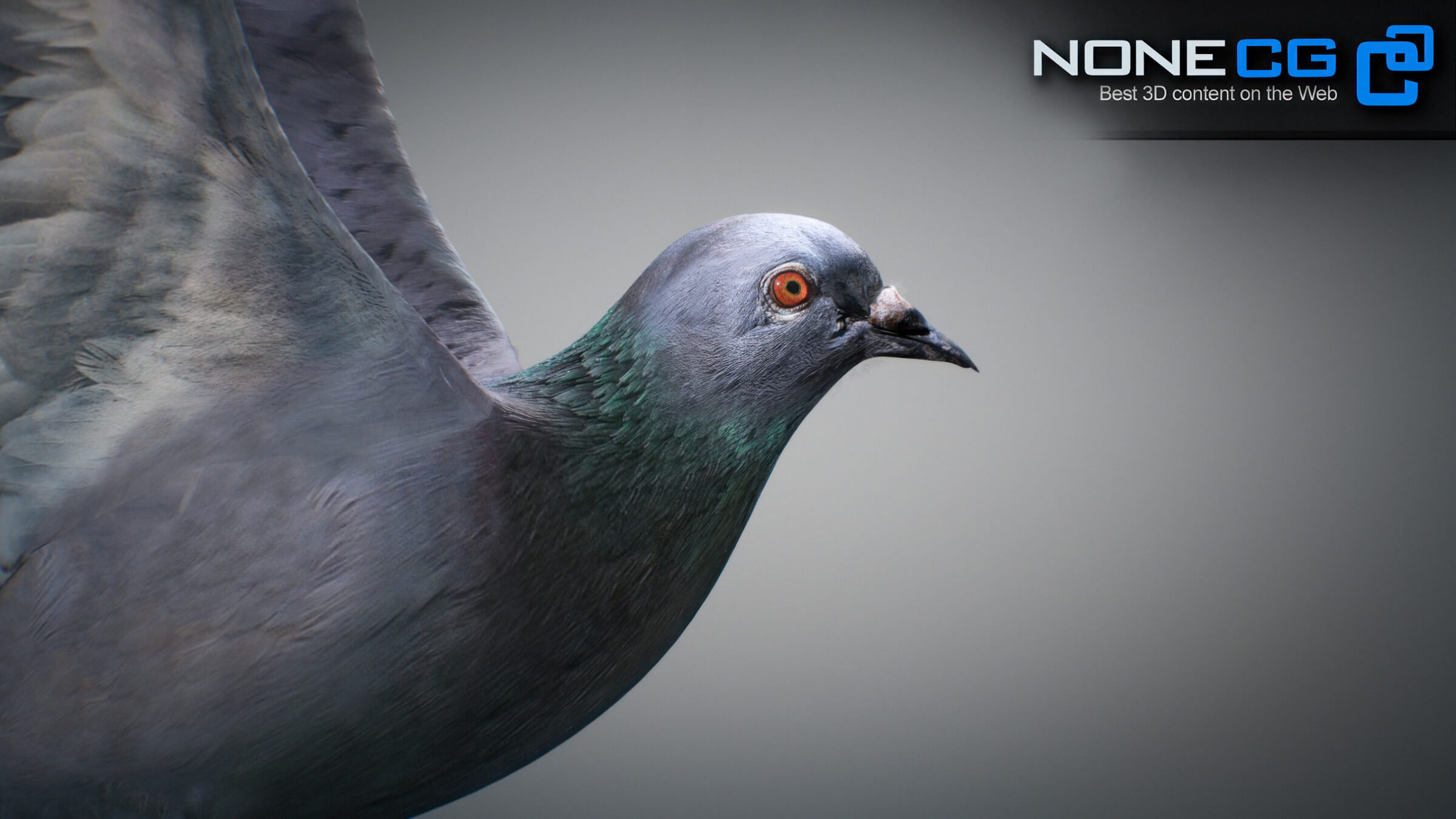 3D Animated Doves 3D Render, Digital Art by NoneCG