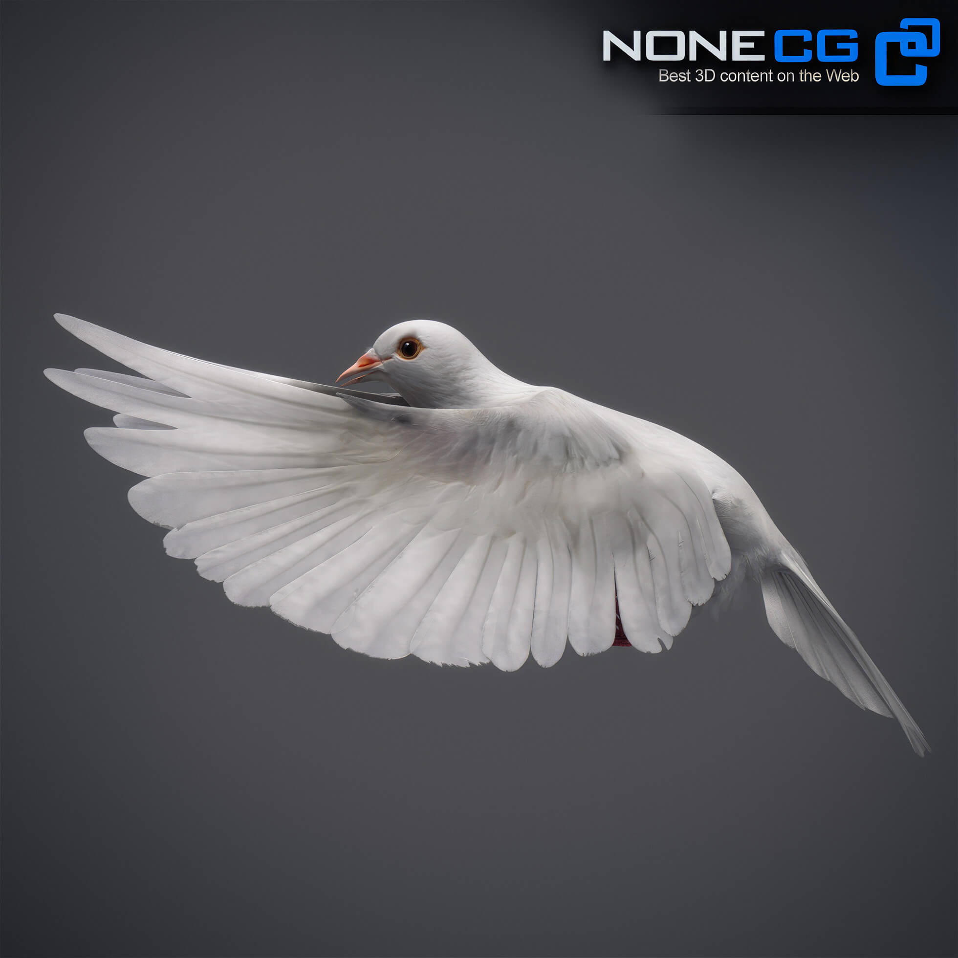 3D Animated Doves 3D Render, Digital Art by NoneCG