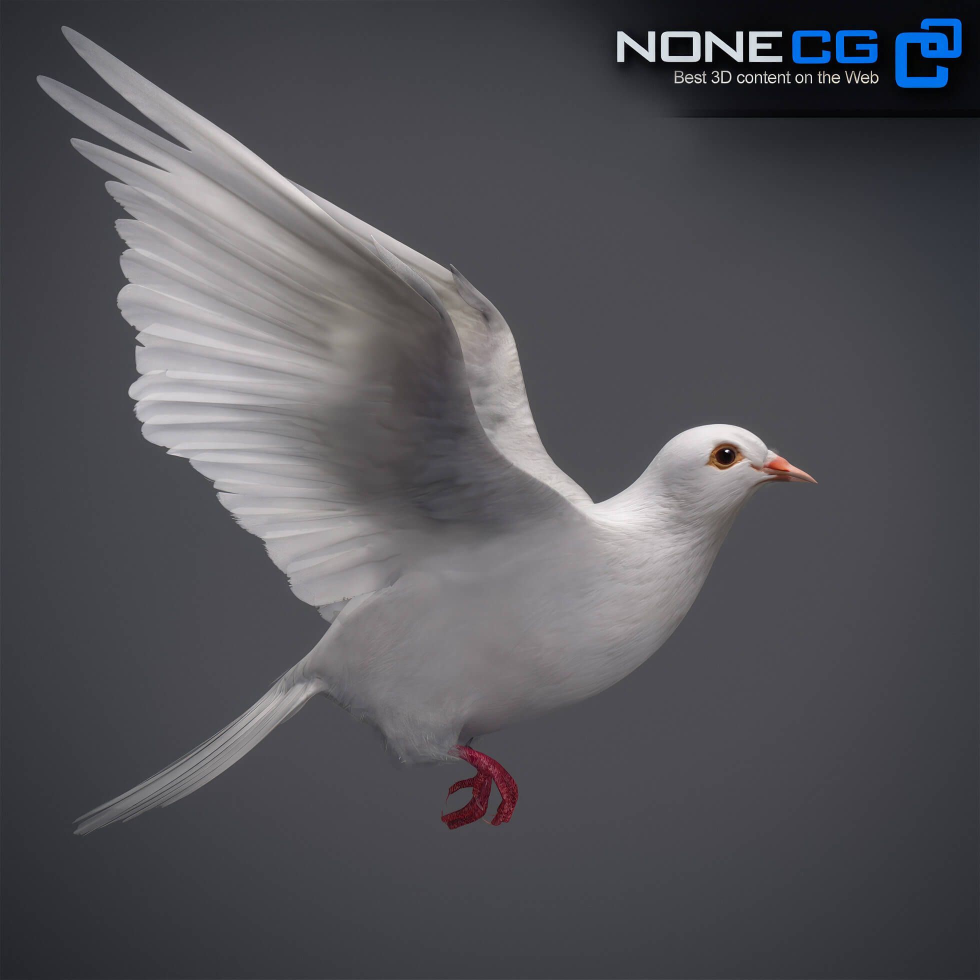 3D Animated Doves 3D Render, Digital Art by NoneCG