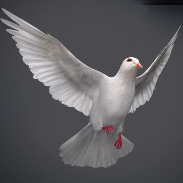 3D Animated Actopus 3D Render | RenderHub Gallery