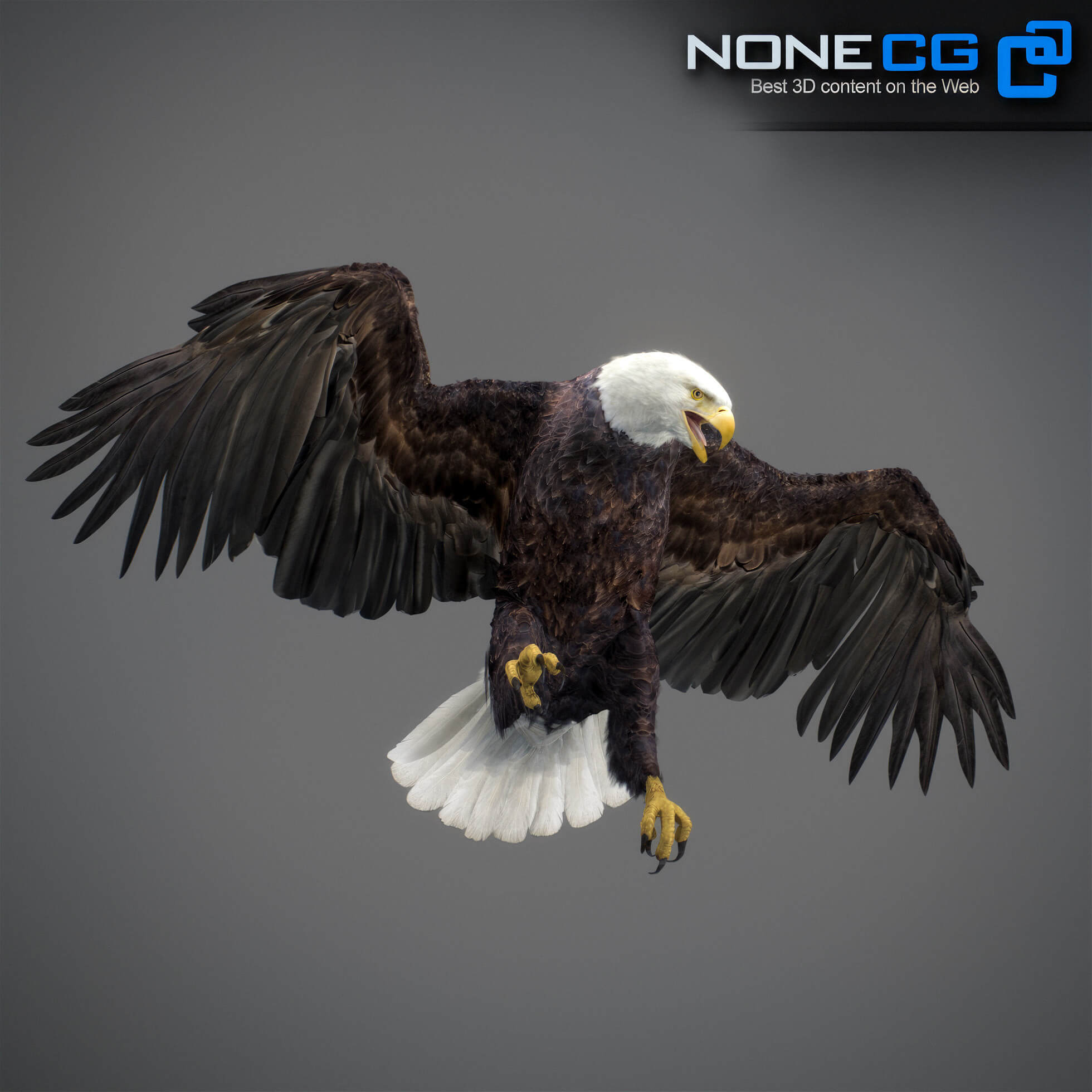 3D Animated Eagles 3D Render, Digital Art by NoneCG