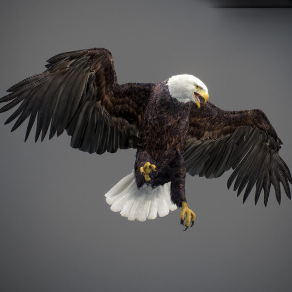 3d Animated Horse 3D Render | RenderHub Gallery