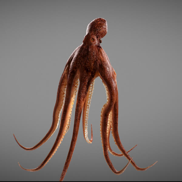 3D Art Gallery by NoneCG at RenderHub