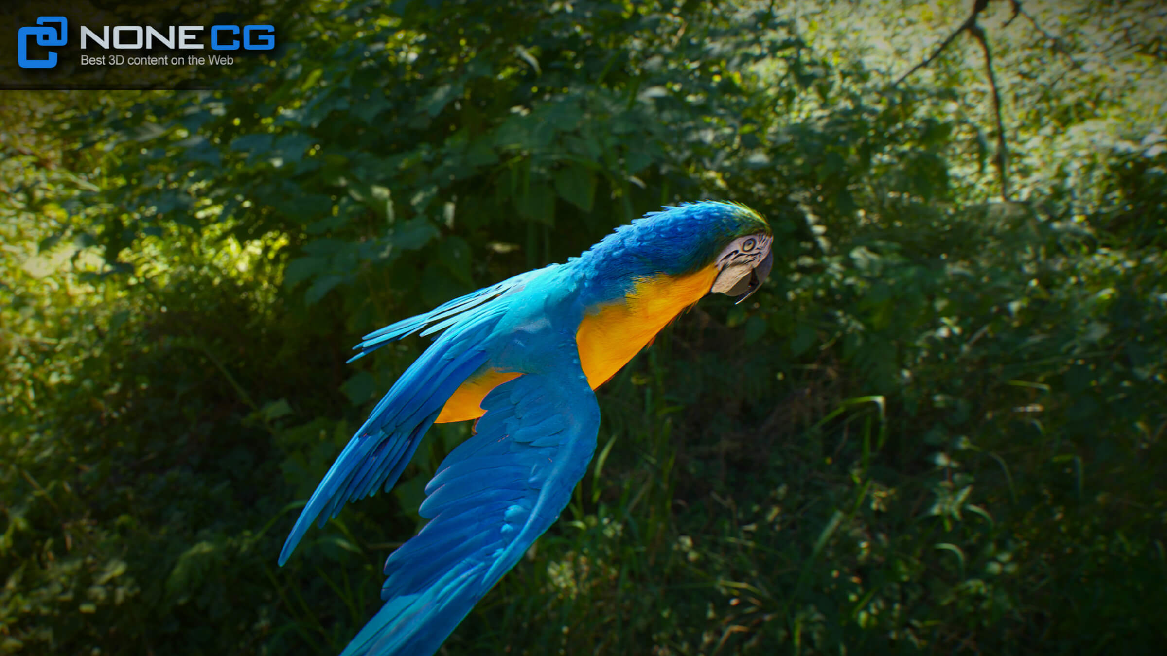 3D Parrots 3D Render, Digital Art by NoneCG