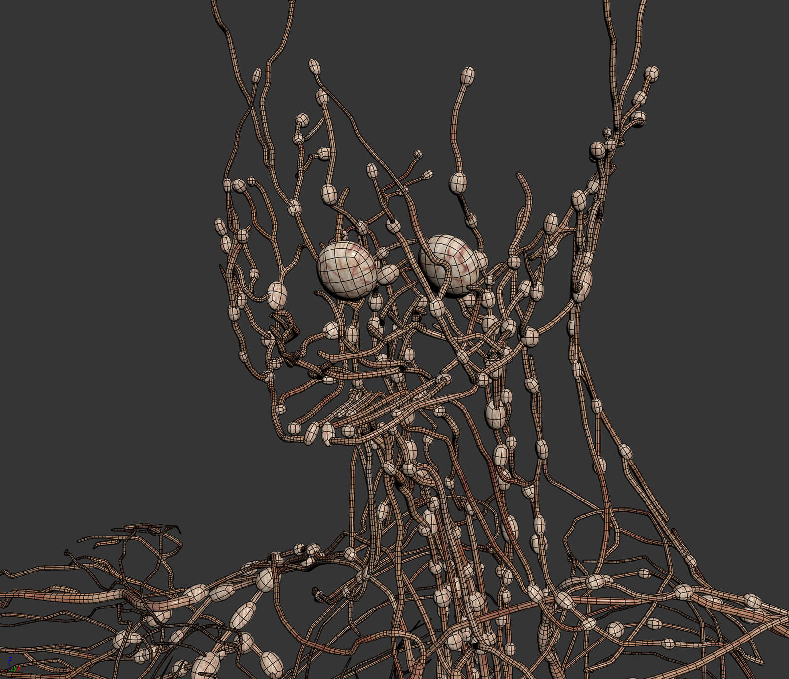 Human Male Lymphatic Anatomy - 3D Model by NoneCG