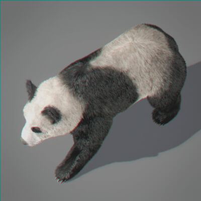 Panda Bear - 3D Model by NoneCG
