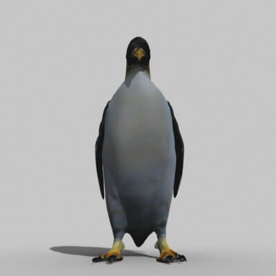 Penguin - 3D Model by NoneCG