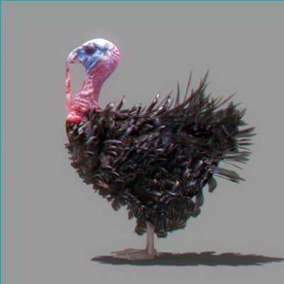 Turkey - 3D Model by NoneCG