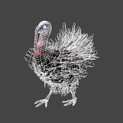 Turkey - 3D Model by NoneCG