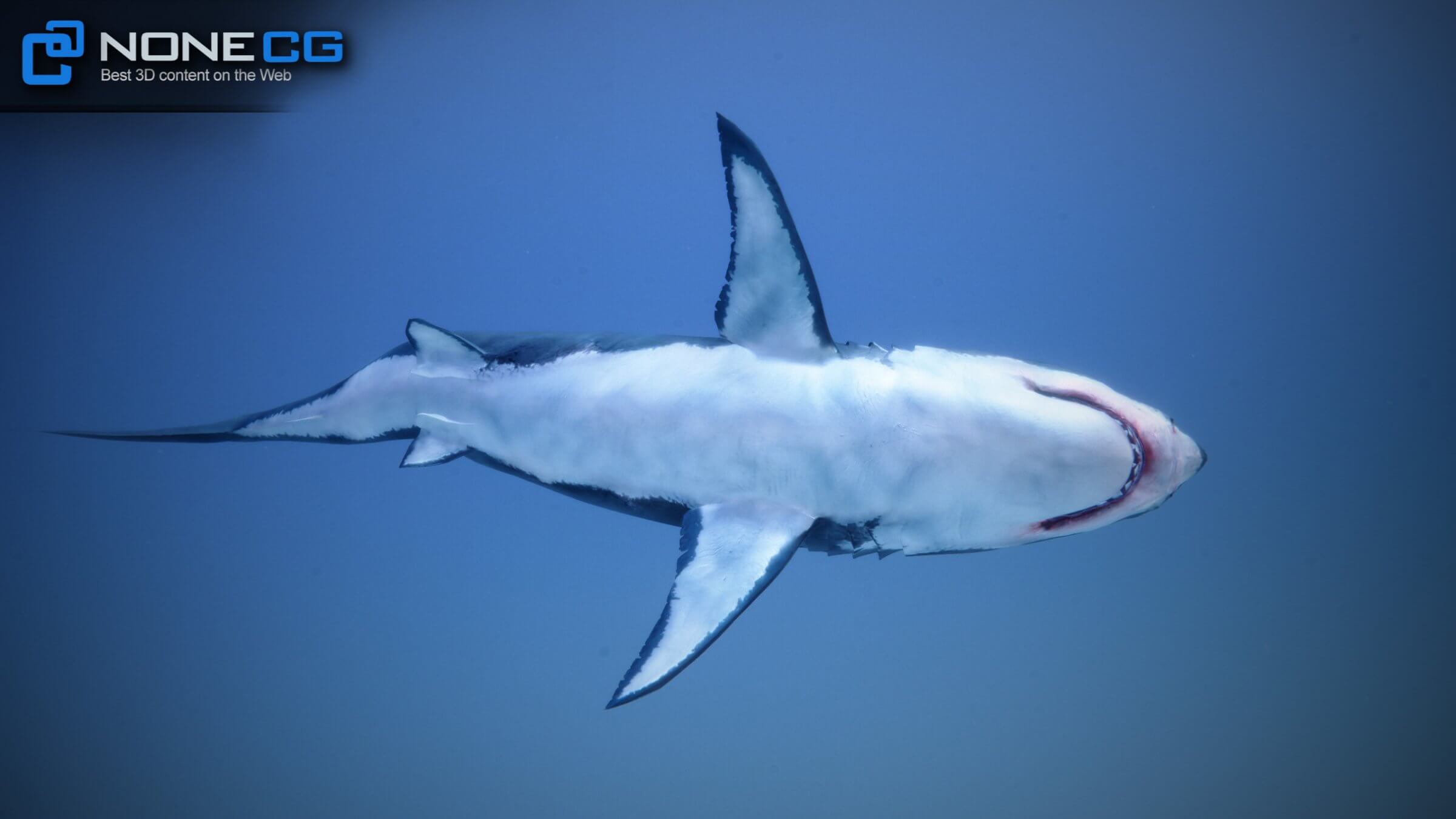 White Shark V2 Unity - 3D Model by NoneCG