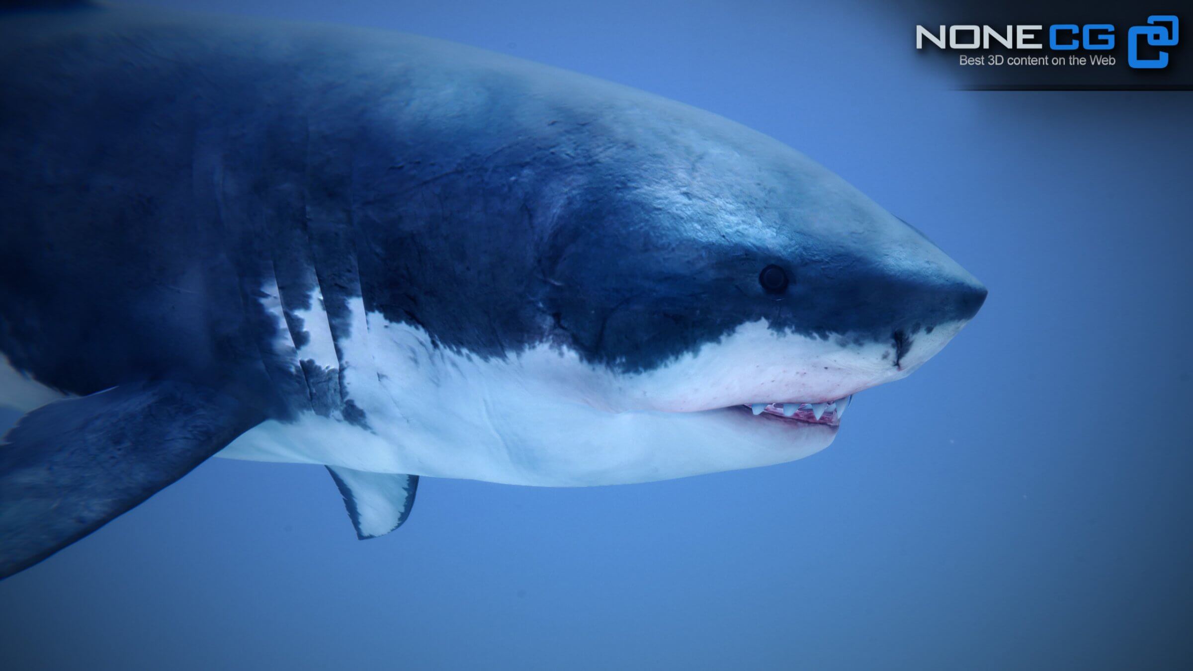 White Shark V2 Unity - 3D Model by NoneCG