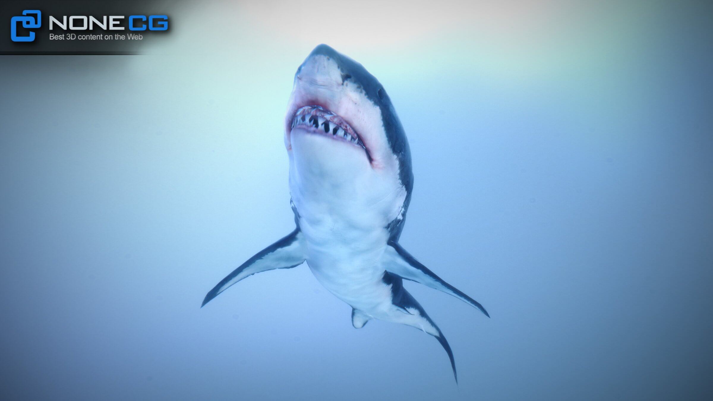 White Shark V2 Unity - 3D Model by NoneCG