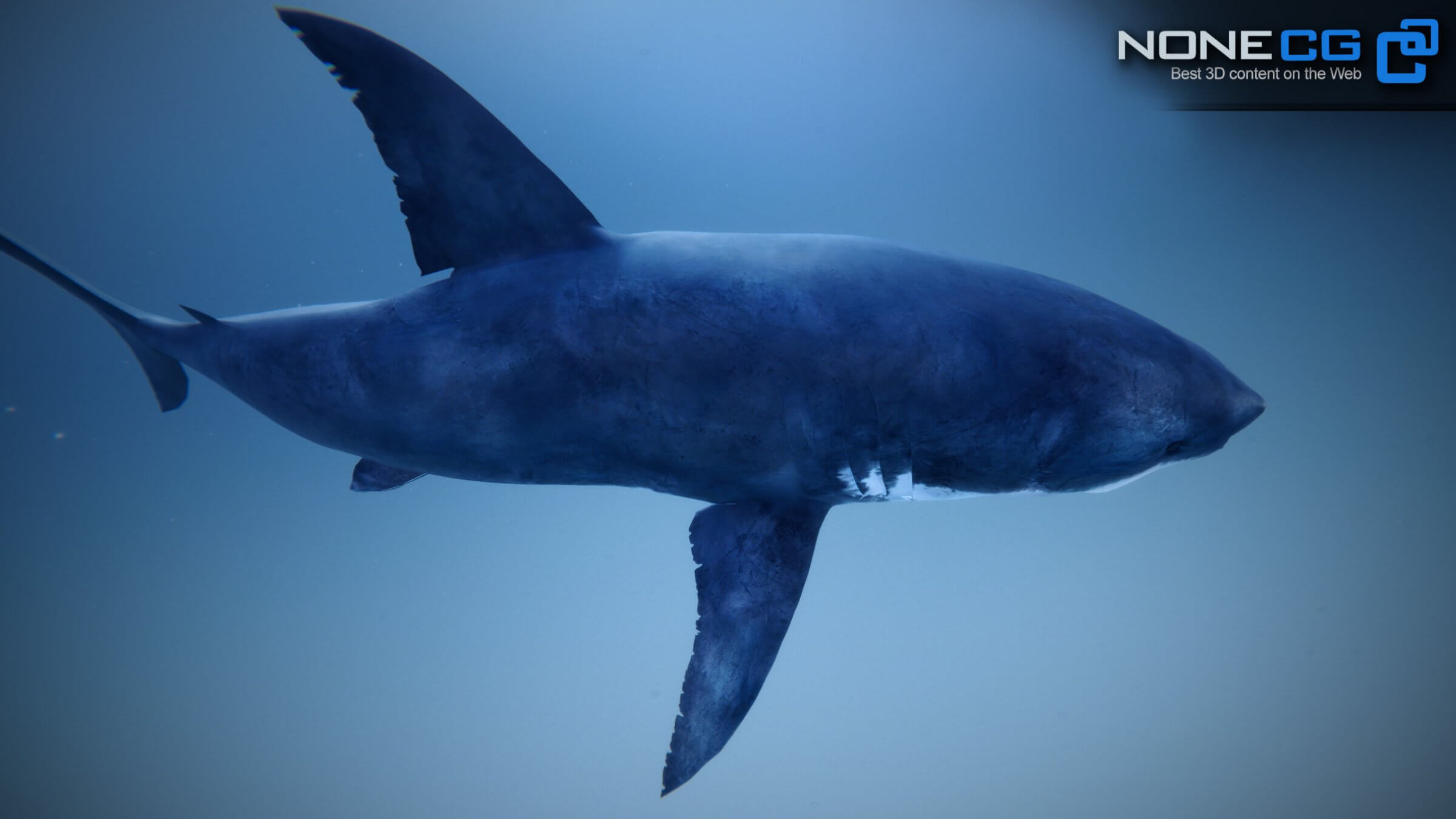 White Shark V2 Unity - 3D Model by NoneCG