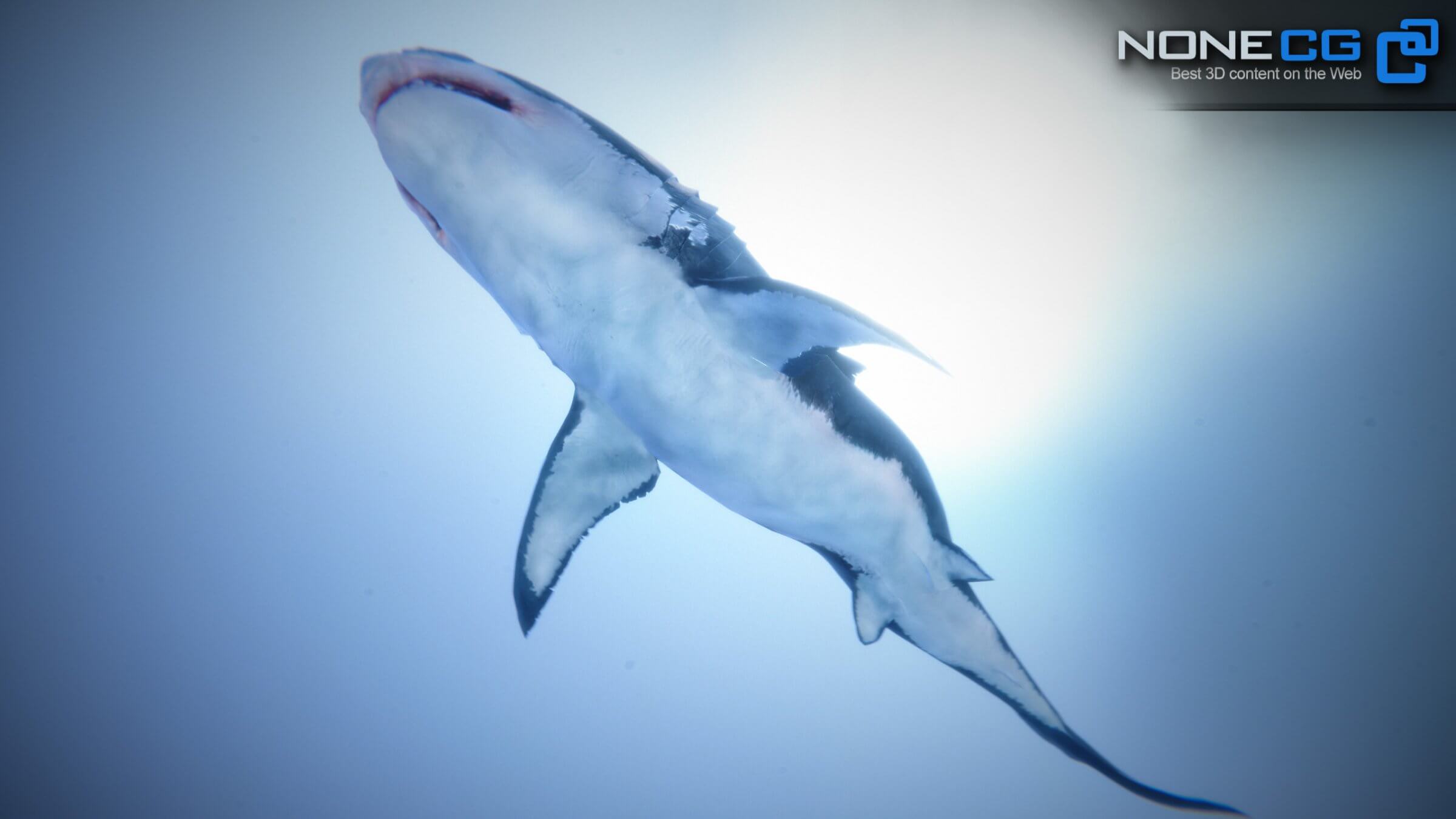 White Shark V2 Unity - 3D Model by NoneCG
