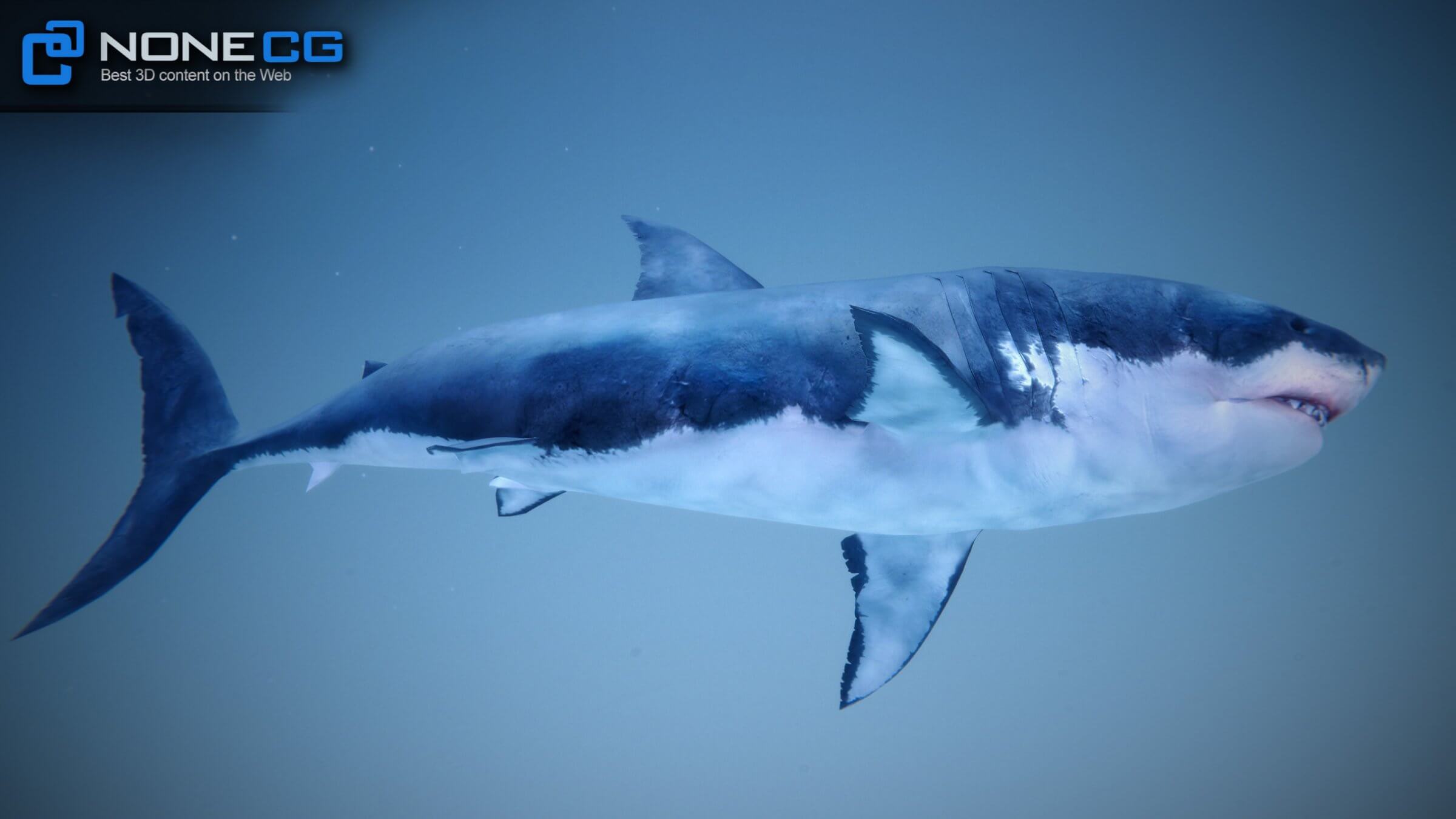 White Shark V2 Unity - 3D Model by NoneCG
