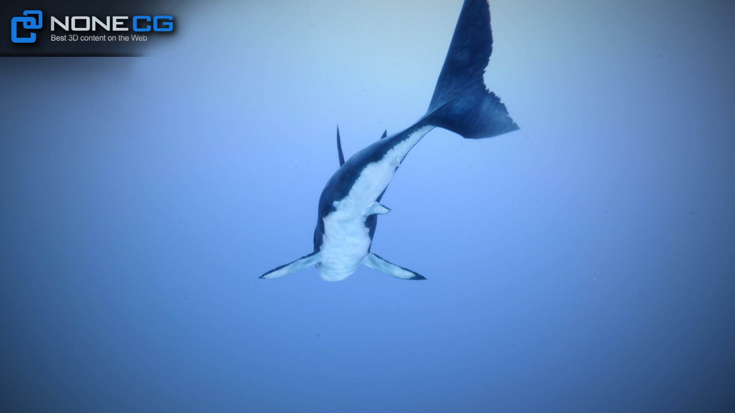 White Shark V2 Unity - 3D Model by NoneCG