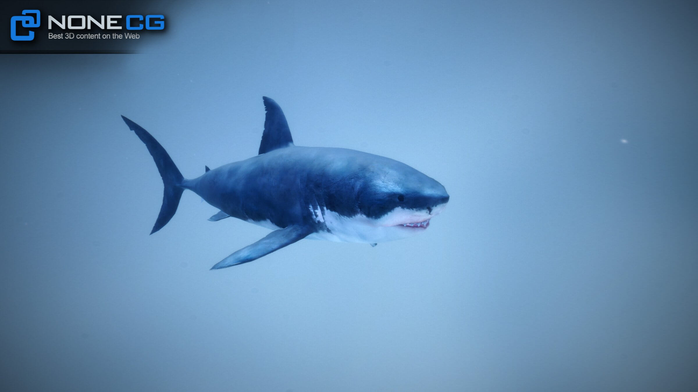 White Shark V2 Unity - 3D Model by NoneCG