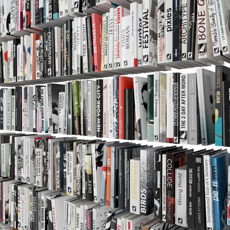 Books (300 Pieces) - 3D Model by Notfun