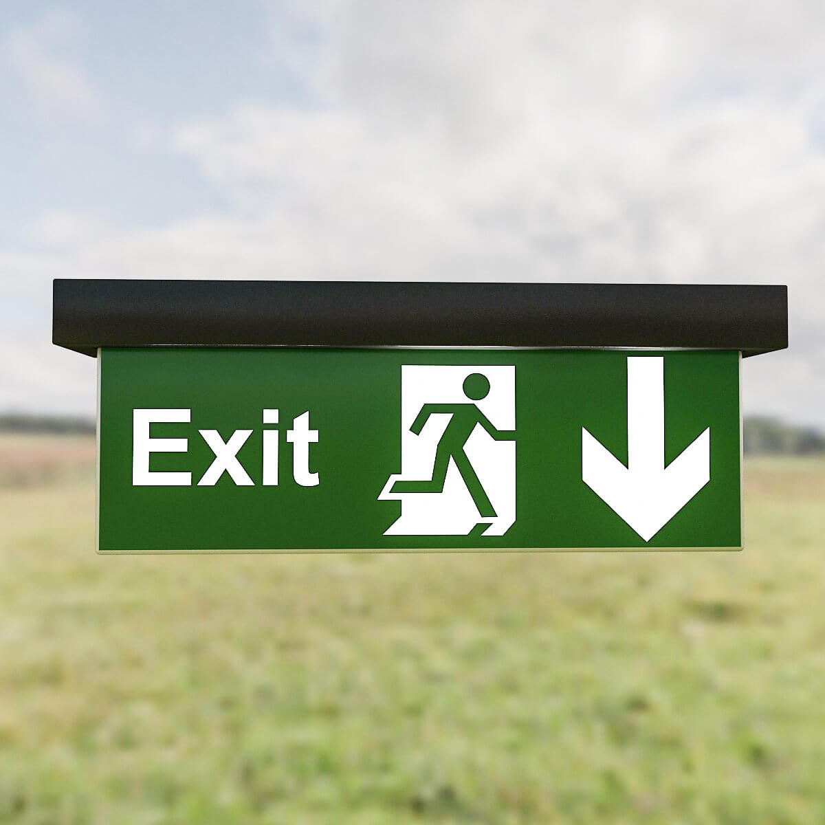 Exit Sign - 3D Model by nvere