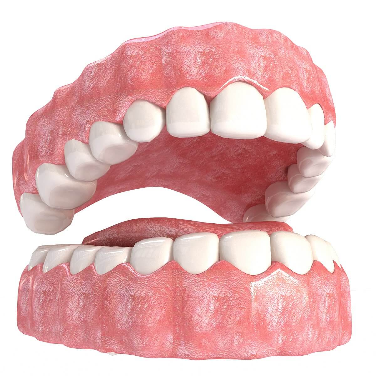 Realistic Mouth and Teeth - 3D Model by nvere