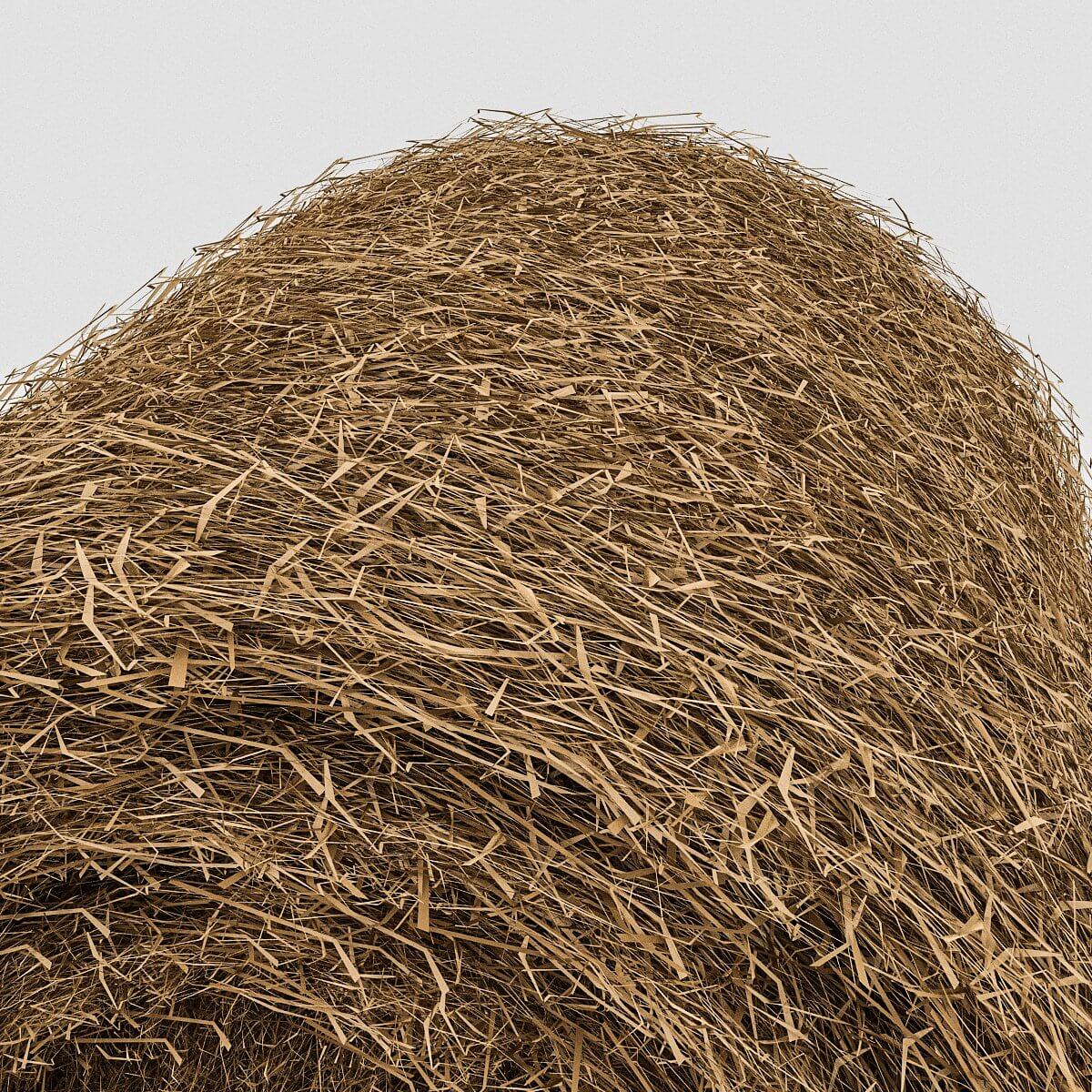 Straw Round - 3D Model by nvere