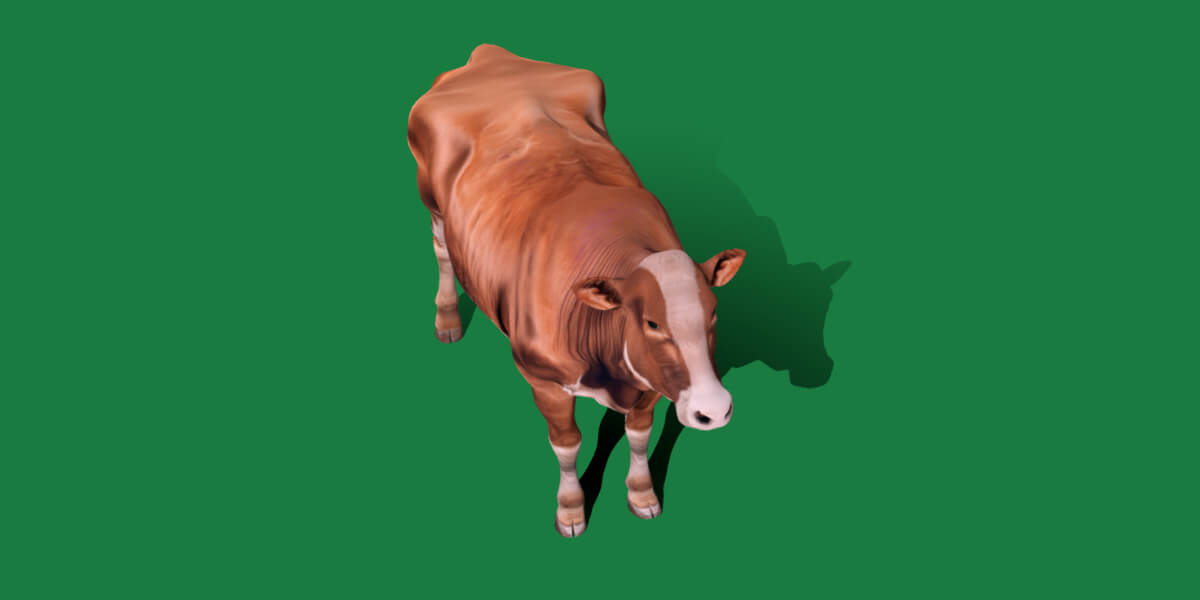 Aberdeen Red Angus Cattle - 3D Model by Nyilonelycompany