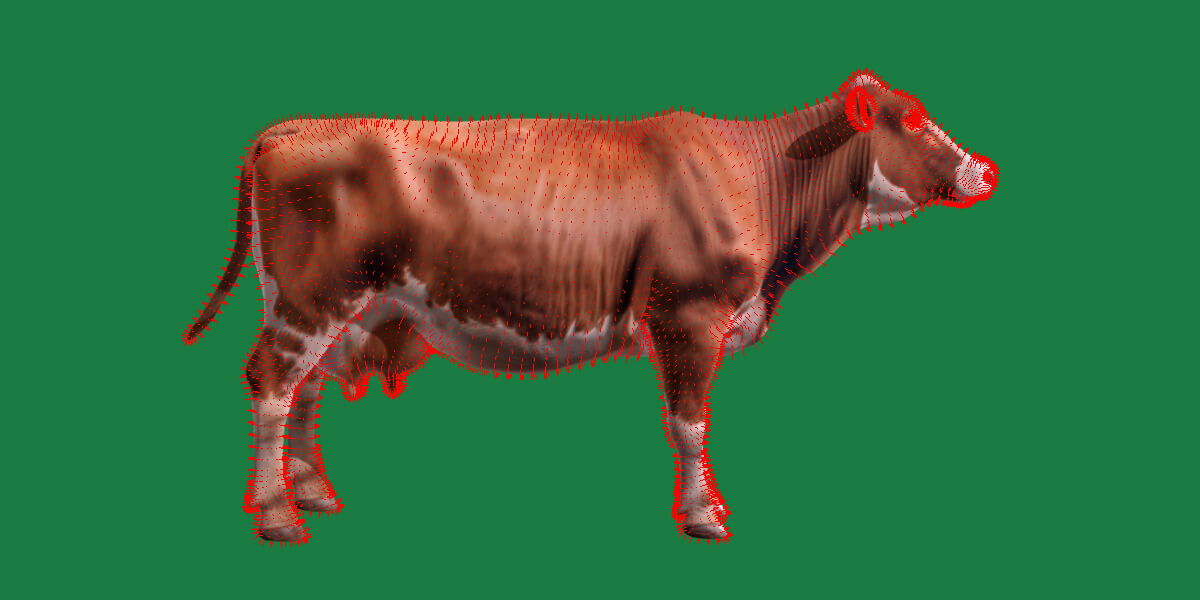 Aberdeen Red Angus Cattle - 3D Model by Nyilonelycompany