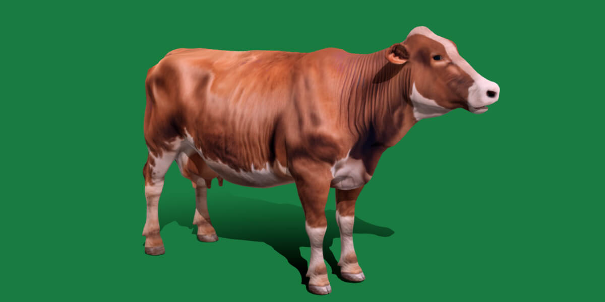 Aberdeen Red Angus Cattle - 3D Model by Nyilonelycompany