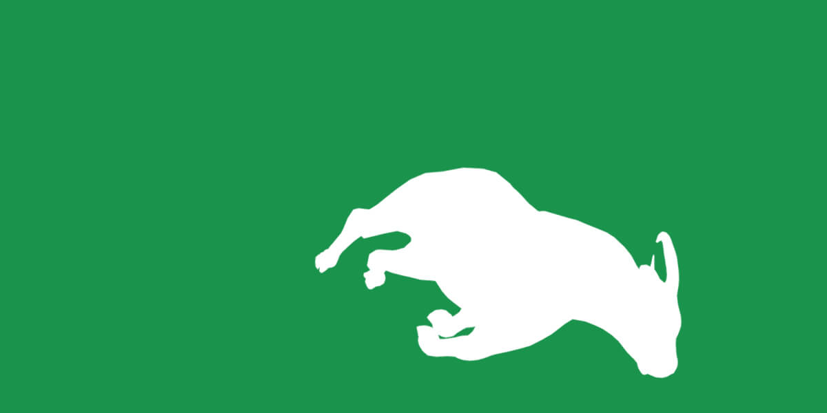 African Dwarf Forest Buffalo - 3D Model by Nyilonelycompany