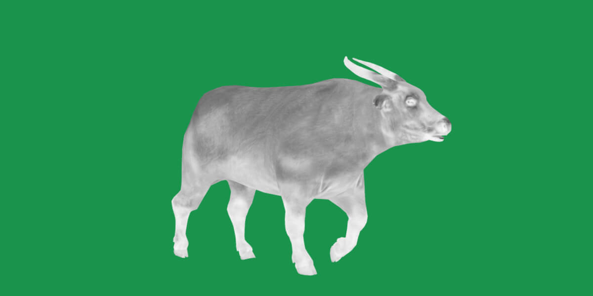 African Dwarf Forest Buffalo - 3D Model by Nyilonelycompany