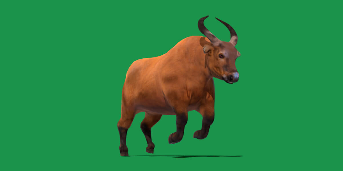 African Dwarf Forest Buffalo - 3D Model by Nyilonelycompany