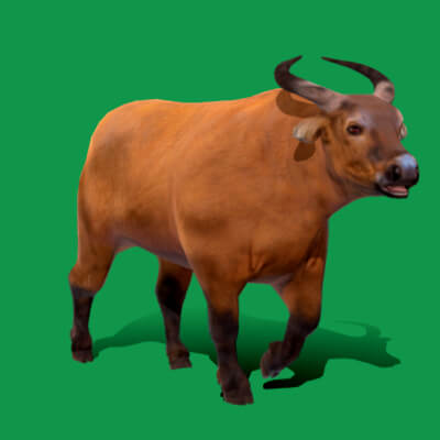 Glb 3D Models | Animals | Buffalo | RenderHub