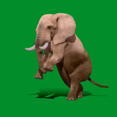 Unity Assets | Animals | Elephants | RenderHub