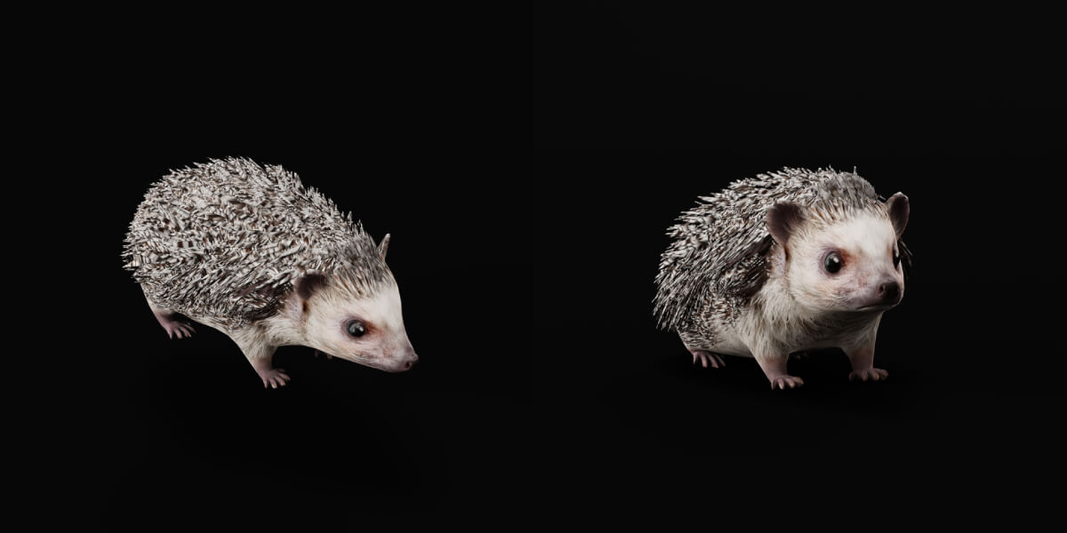 African Pygmy Hedgehog - 3D Model by Nyilonelycompany