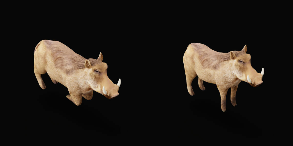 African Warthog - 3D Model by Nyilonelycompany