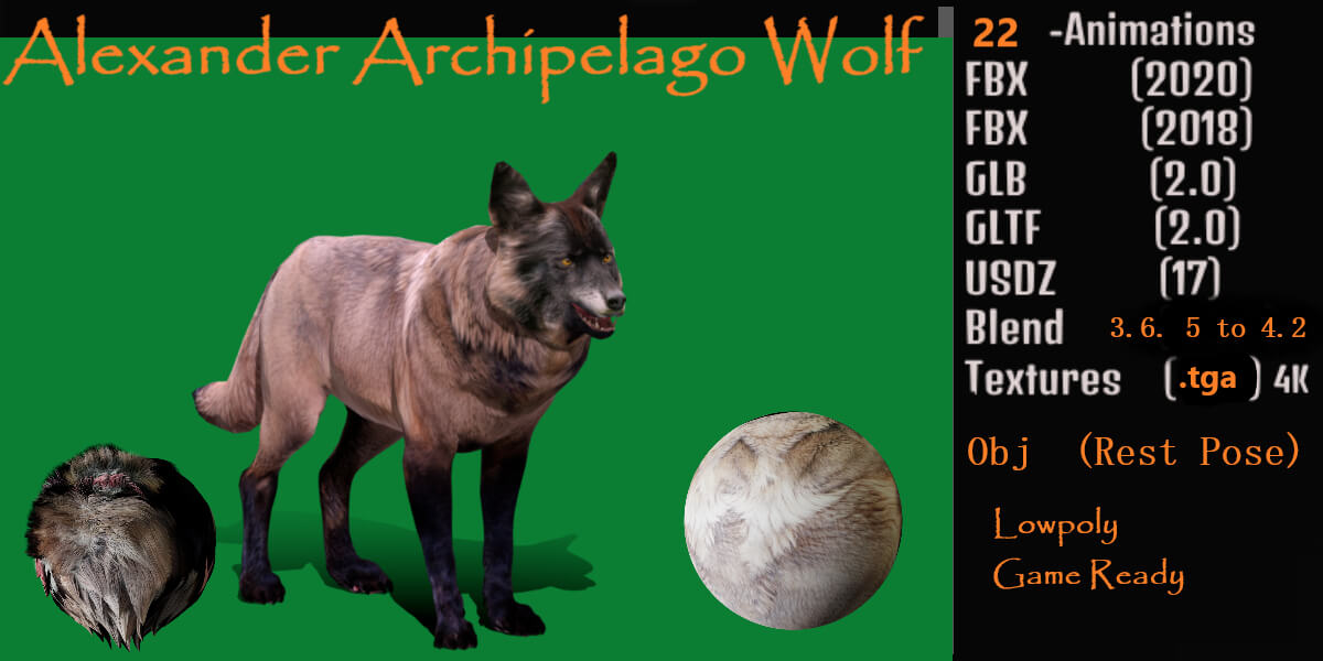 Alexander Archipelago Wolf - 3D Model by Nyilonelycompany