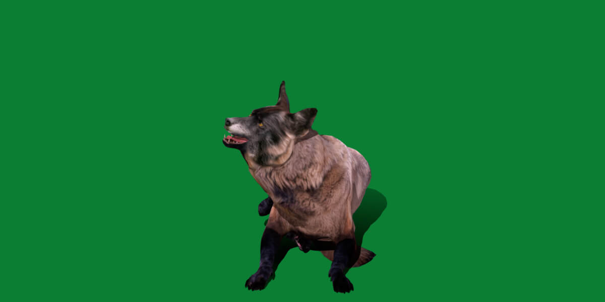 Alexander Archipelago Wolf - 3D Model by Nyilonelycompany