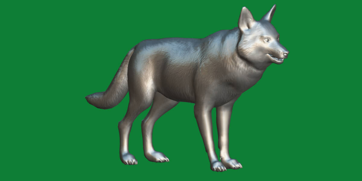 Alexander Archipelago Wolf - 3D Model by Nyilonelycompany