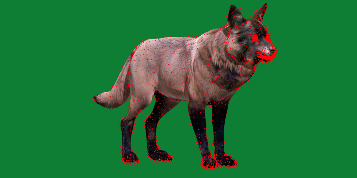 Alexander Archipelago Wolf - 3D Model by Nyilonelycompany