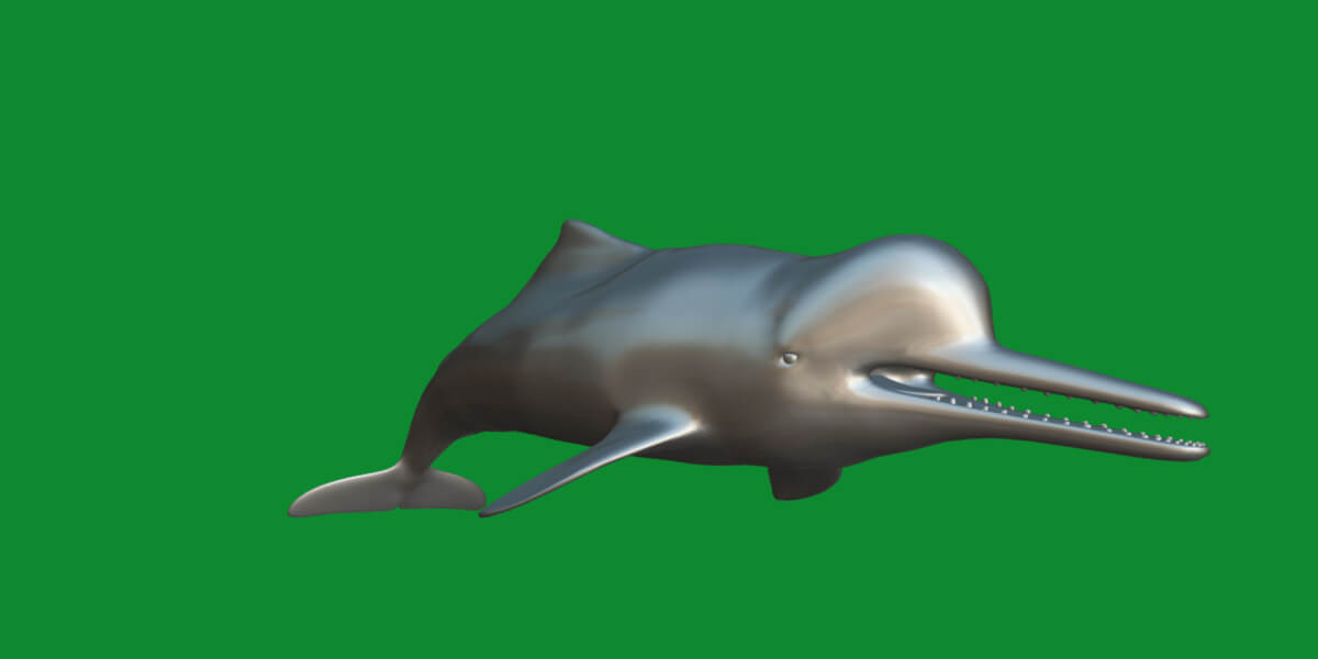 Free 3d Dolphin Live