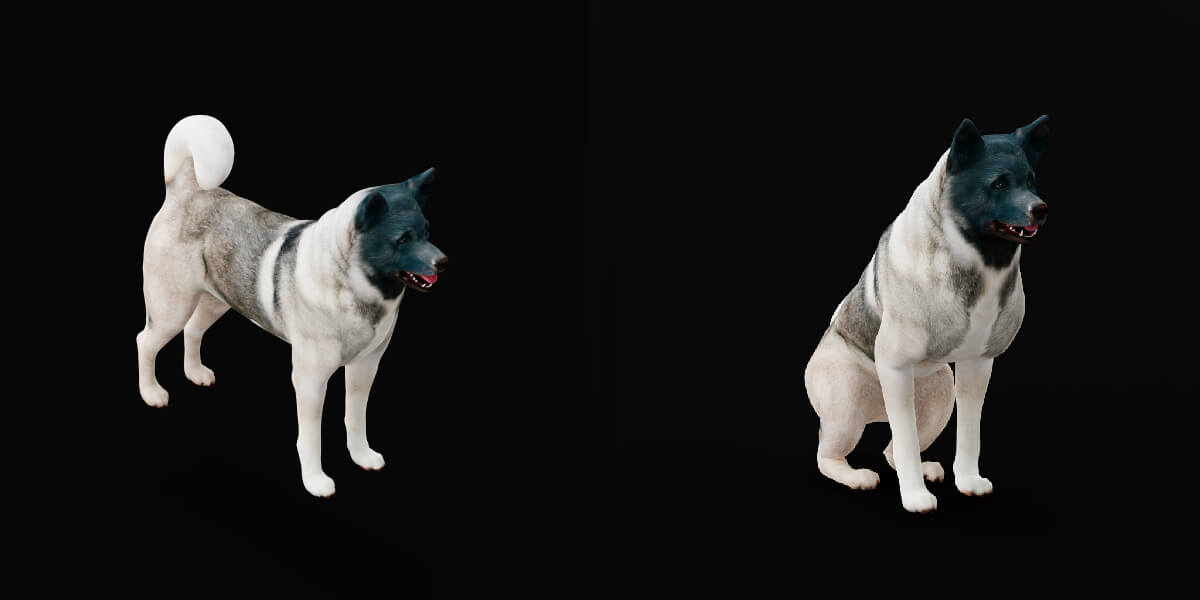 American Akita Dog - 3D Model by Nyilonelycompany