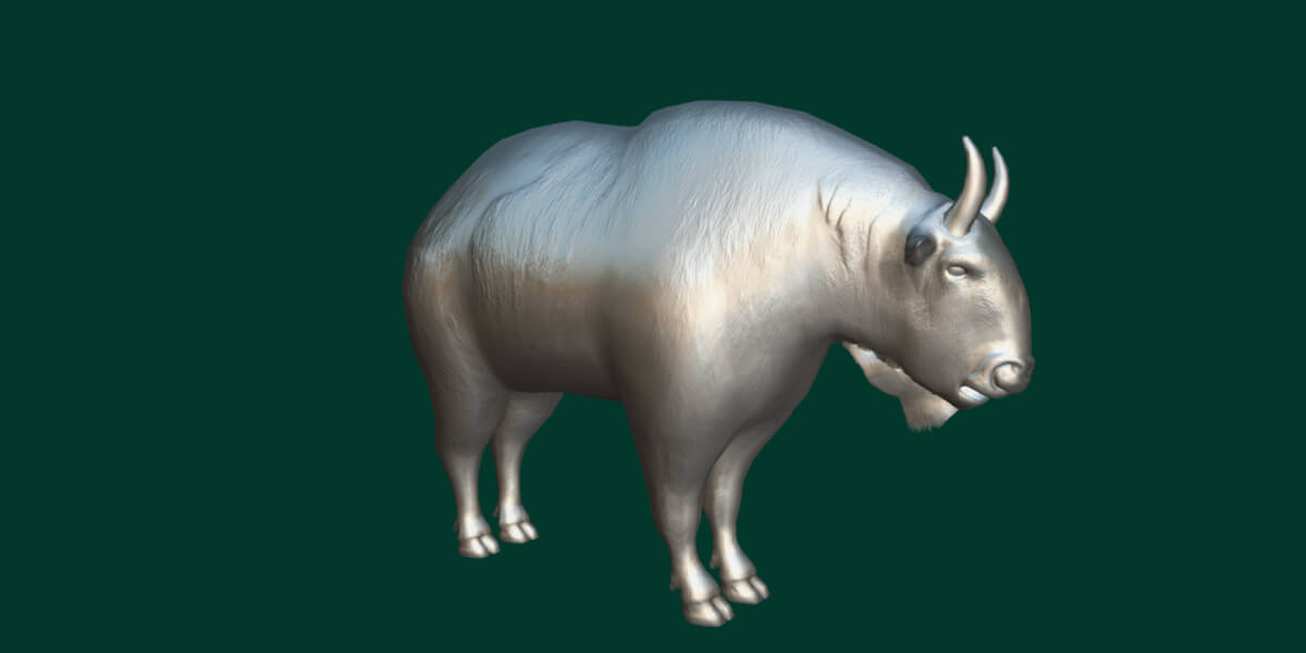 American Golden Takin Gnu Goat - 3D Model by Nyilonelycompany