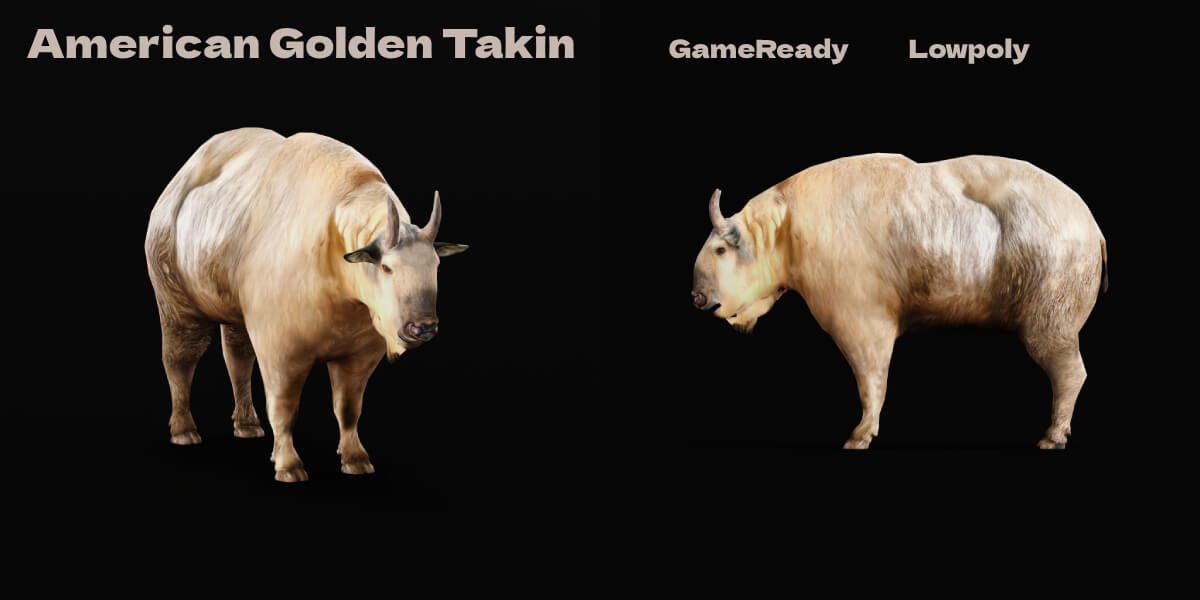 American Golden Takin Gnu Goat - 3D Model by Nyilonelycompany