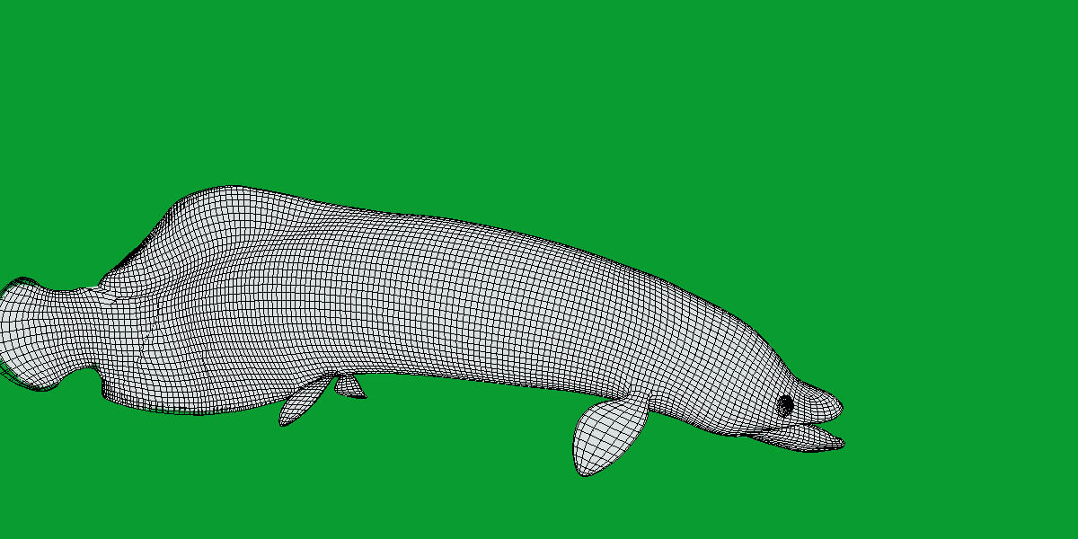 Arapaima Pirarucu Fish - 3D Model by Nyilonelycompany