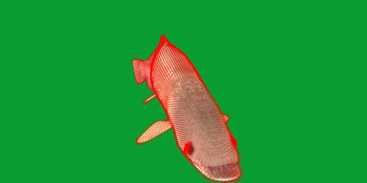 Arapaima Pirarucu Fish - 3D Model by Nyilonelycompany