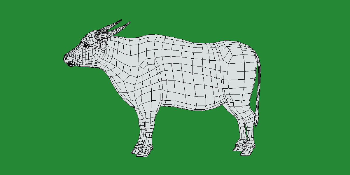 Asian Water Buffalo - 3D Model by Nyilonelycompany