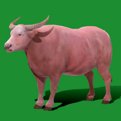 Glb 3D Models | Animals | Buffalo | RenderHub