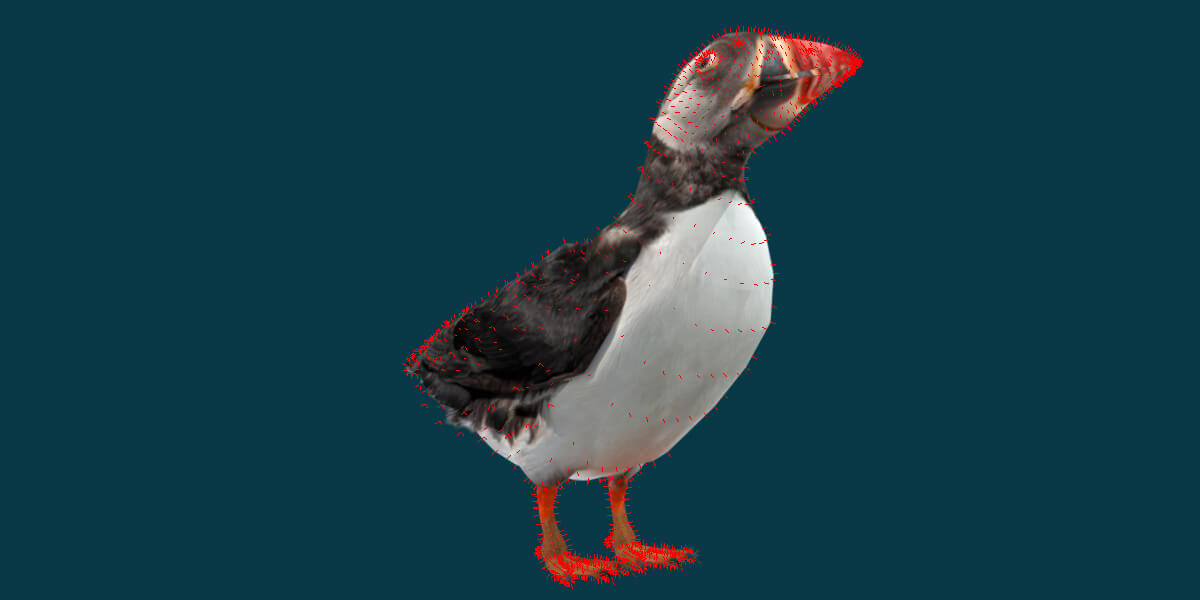 Atlantic Puffin Seabird Animal - 3D Model by Nyilonelycompany