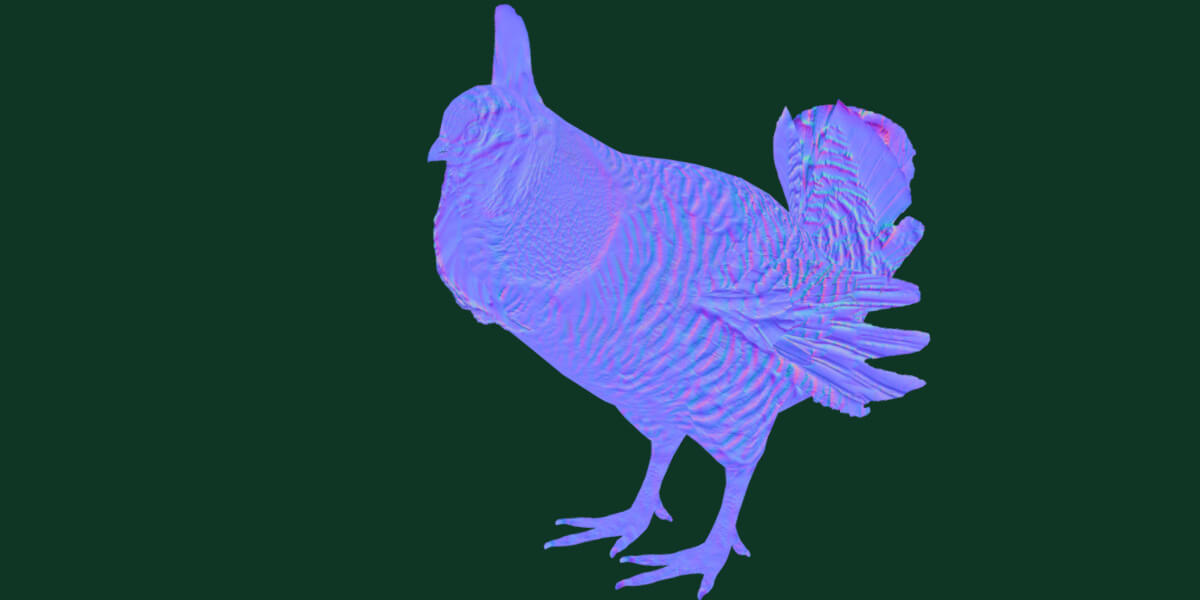 Attwater's Prairie Chicken Birds - 3D Model by Nyilonelycompany